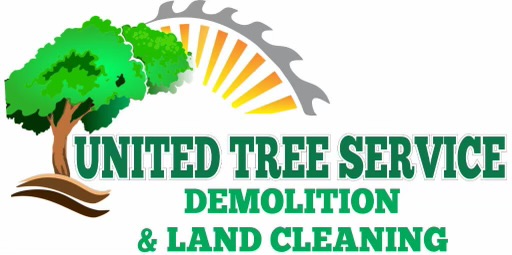 United Tree Services – The Best Tree Removal Experts Around, Guaranteed!